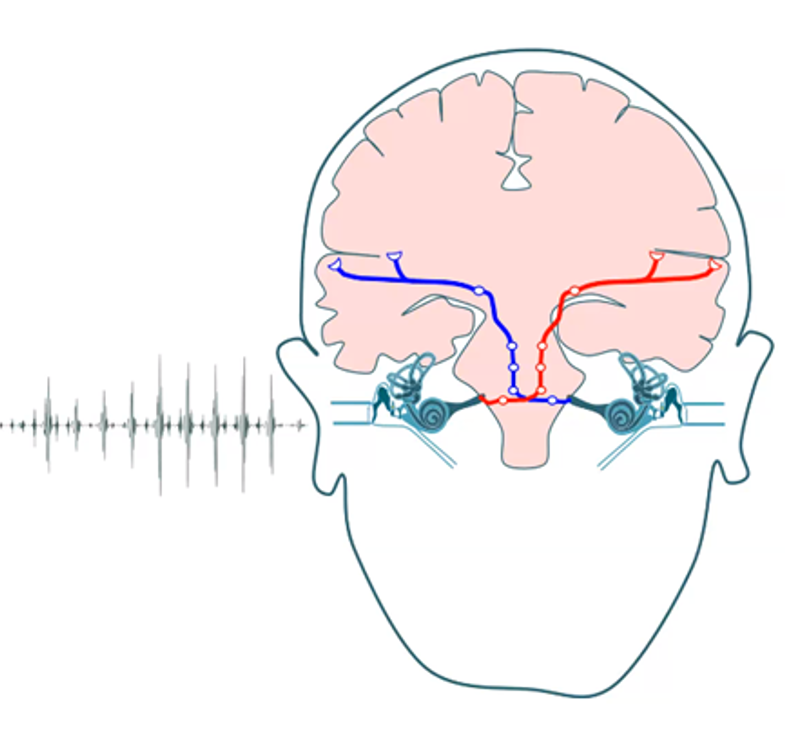 Effect of room acoustics